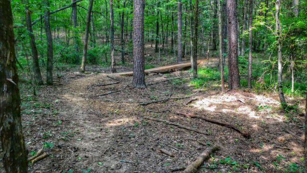Lake-Ludwig-Trails | Arkansas Outside